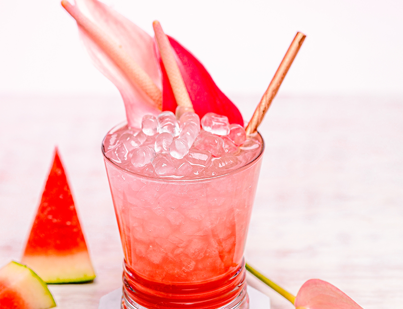 Watermelon Cocktail - Coconut Water Watermelon Oasis Recipe - Harmless ...