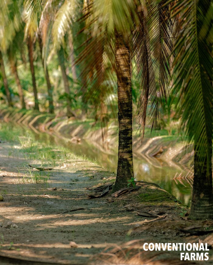 The Future of Farming - Harmless Harvest | Organic Coconut Water ...