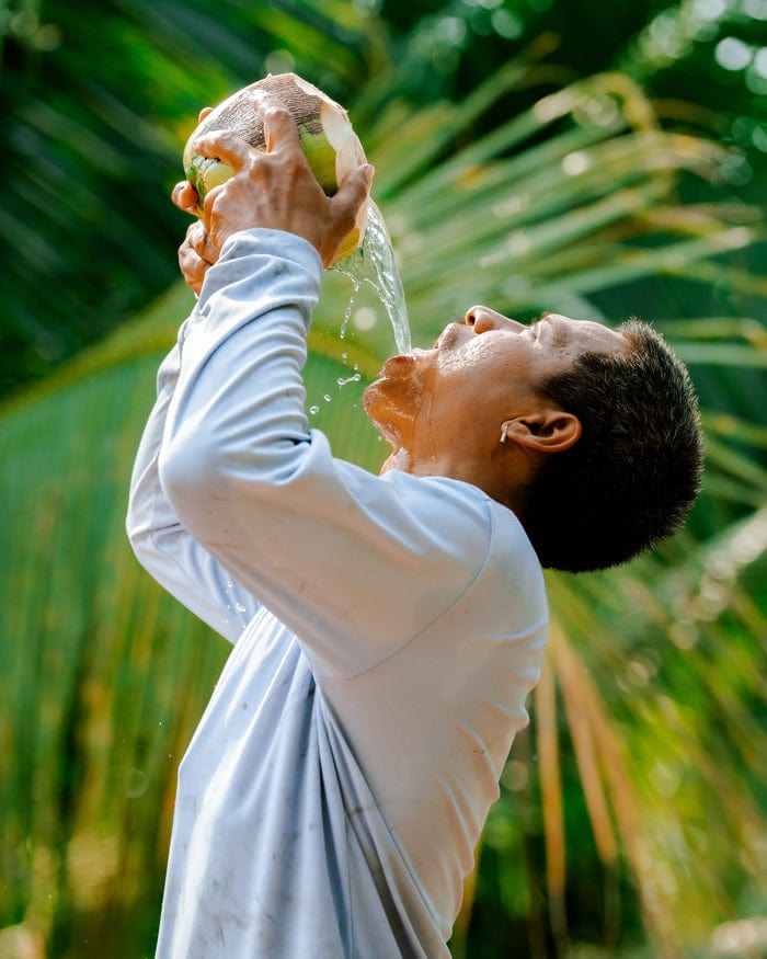 The Nam Hom Coconut - Harmless Harvest | Organic Coconut Water & Beverages