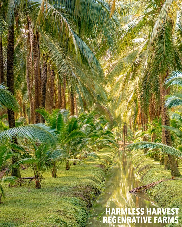 The Future of Farming - Harmless Harvest | Organic Coconut Water ...